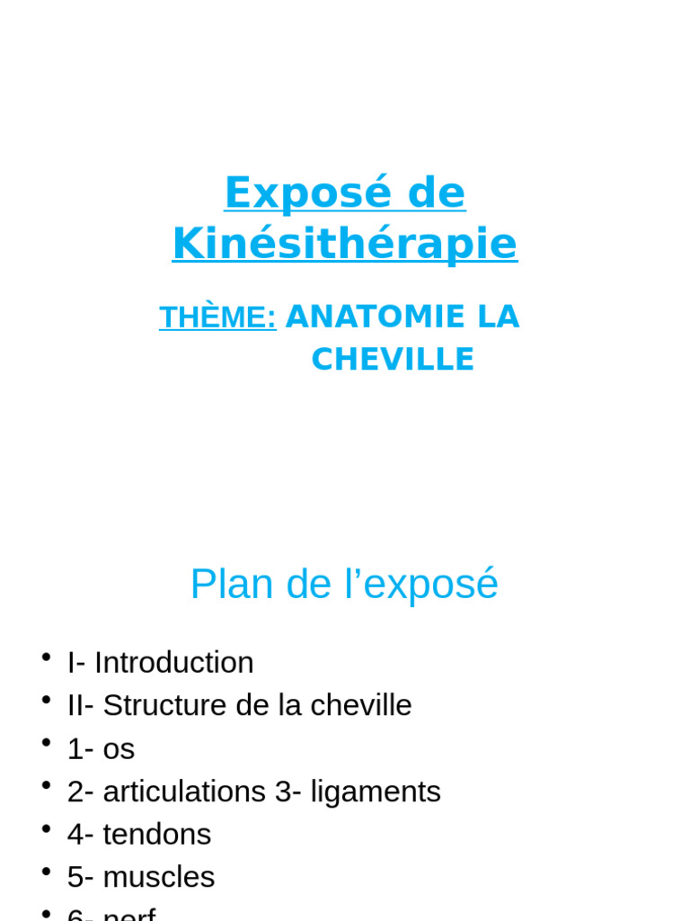 Anatomie de la Cheville et Fonctions | PDF | Pied | Jambe humaine