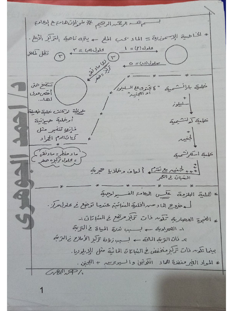 Chapter 1 Arabic | PDF