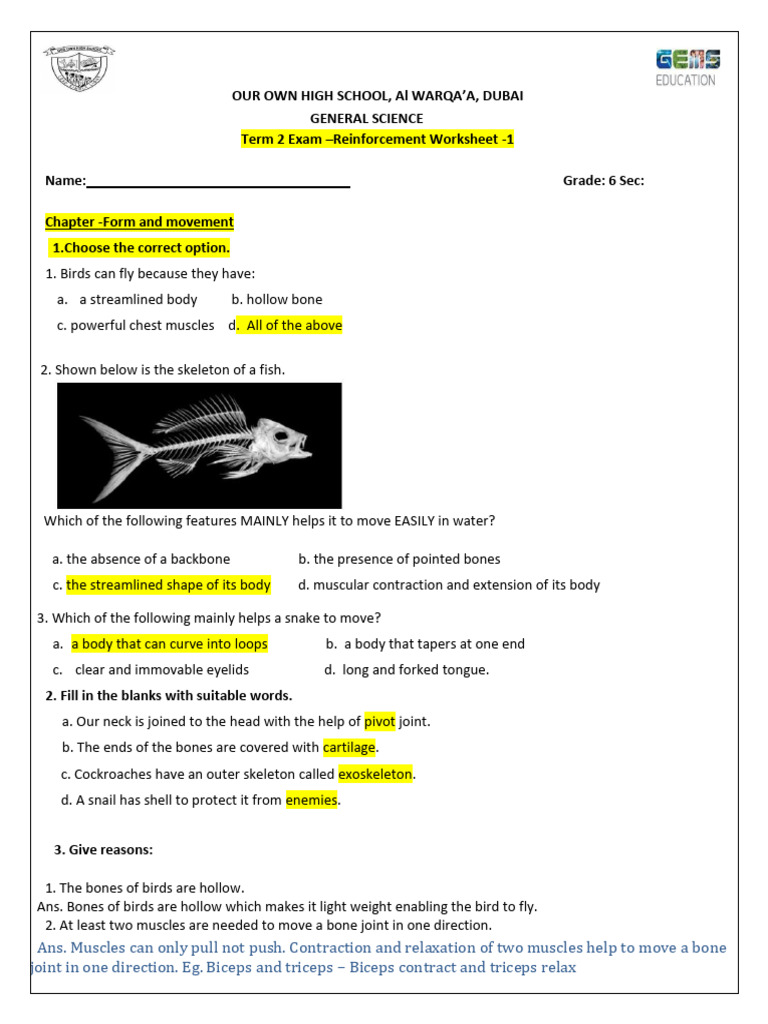 Science Reinforcement Worksheet 1 - Term 2 Examination | PDF | Flowers | Flood
