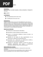 Secuencia Seres Vivos y Elementos Sin Vida Primer Grado 2024 | PDF ...