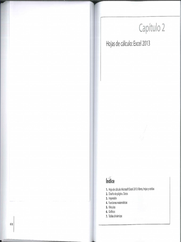 Tema 24 Capitulo 2 (Excel 2013) | PDF