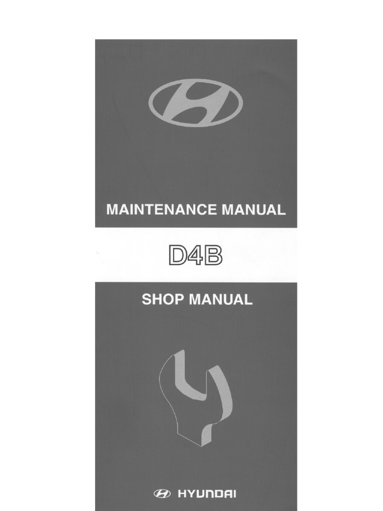 Workshop Manual D4B | PDF