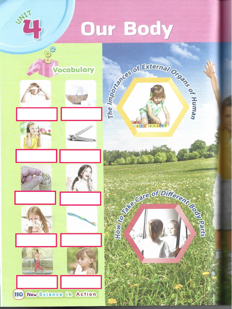 Unit 4 Our Body | PDF