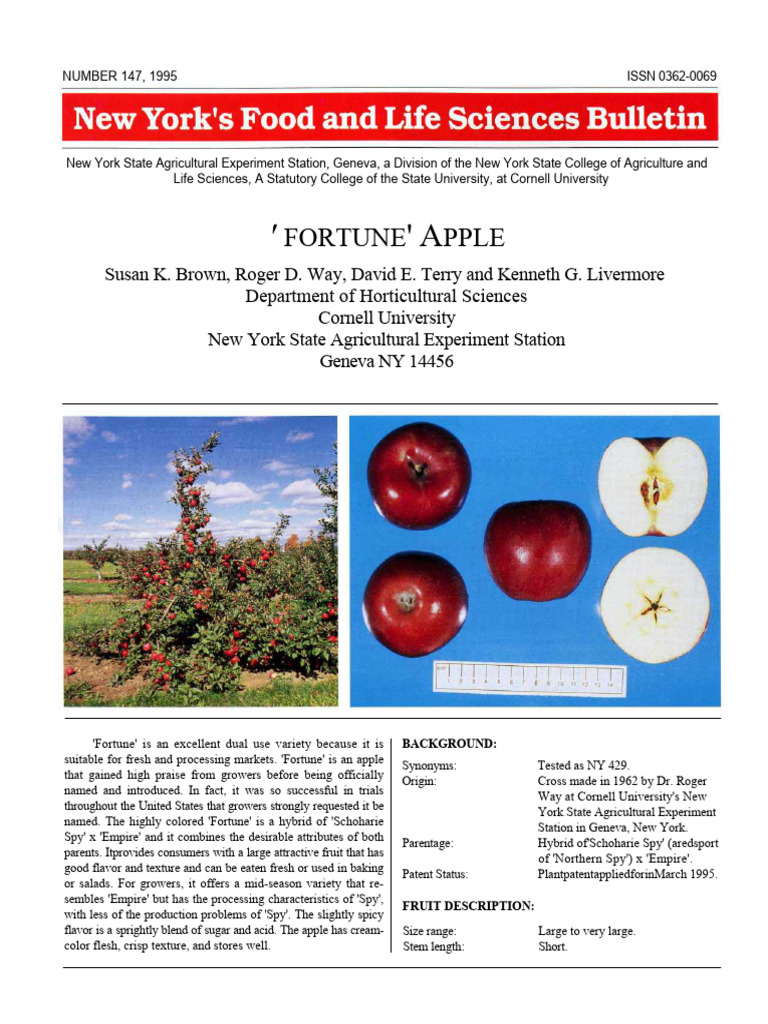 Fortune Apple | PDF | Apple | Plants