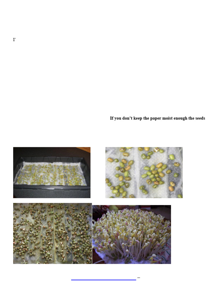 Mung Beans Planting Guide | PDF