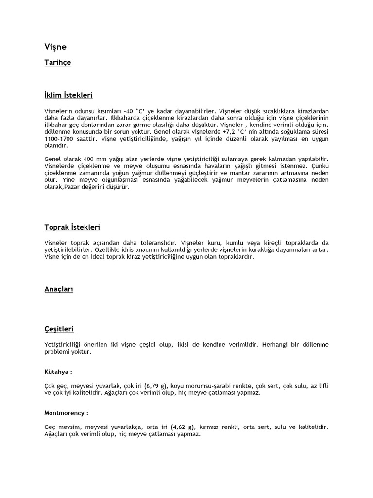 Visne | PDF