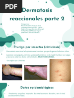 Prúrigo Por Insectos | PDF