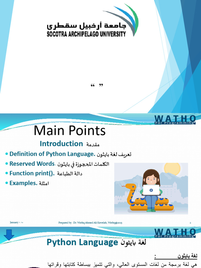 Lec_Selected_Topics_in_IS_(Python)_NO_01 | PDF