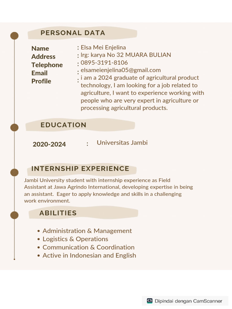 Cv Dan Surat Lamaran Elsa Mei Enjelina | PDF