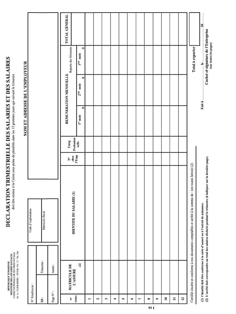Declaration Cnss (1) | PDF