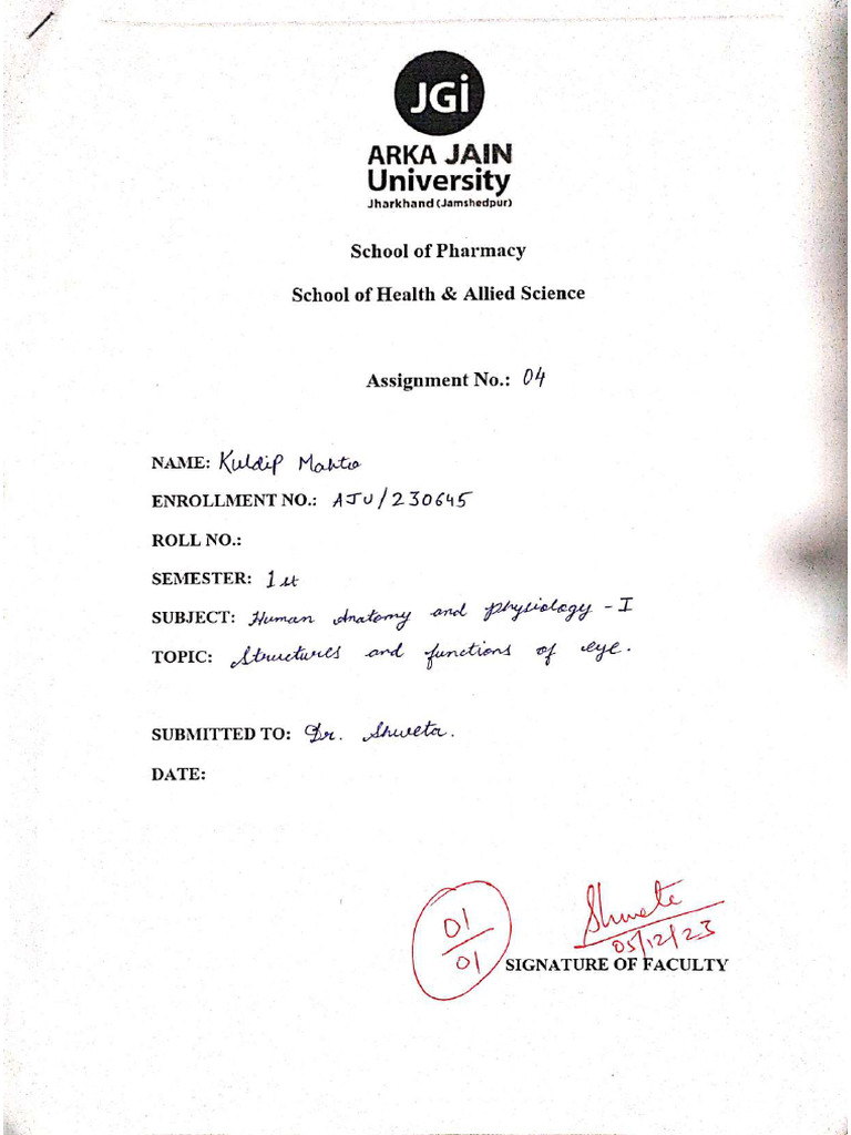 Human Anatomy and Physiology Assignment 4 | PDF