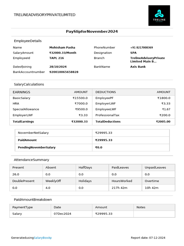 November 2024 Salary Slip for Mohtsham Pasha | PDF