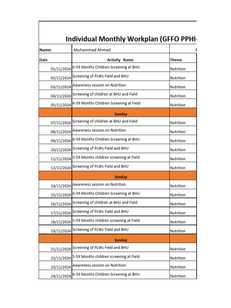Individual Monthly Workplan | PDF