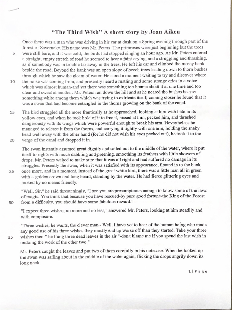 The Third Wish | PDF