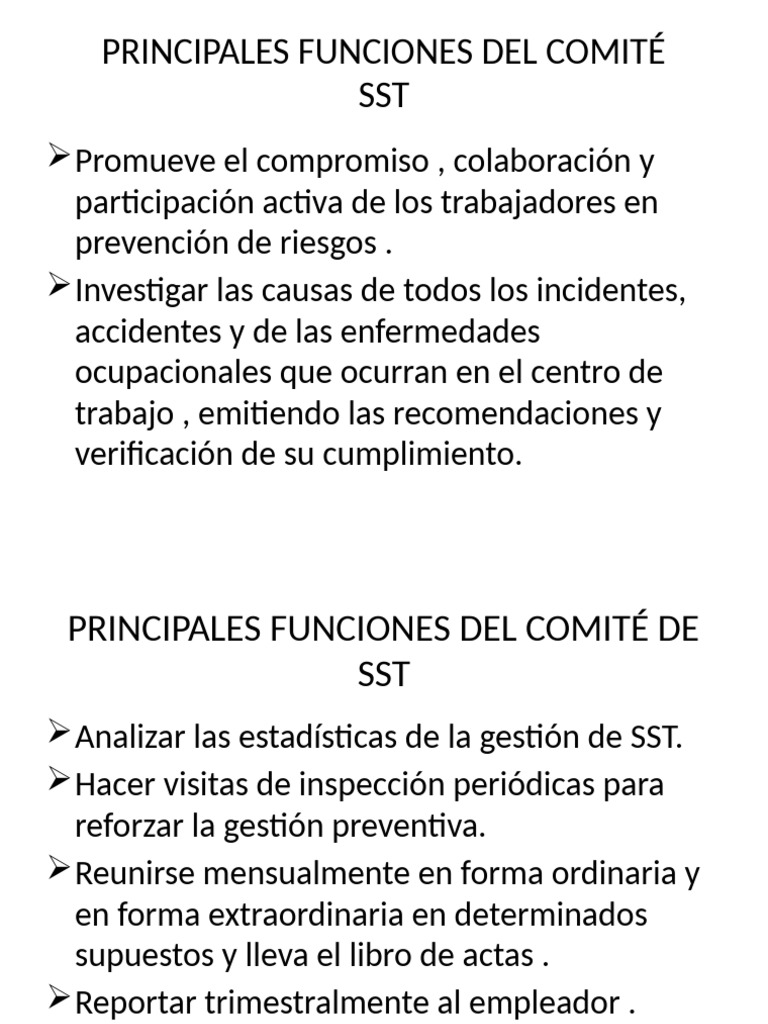 PRINCIPALES FUNCIONES DEL COMITÉ | PDF
