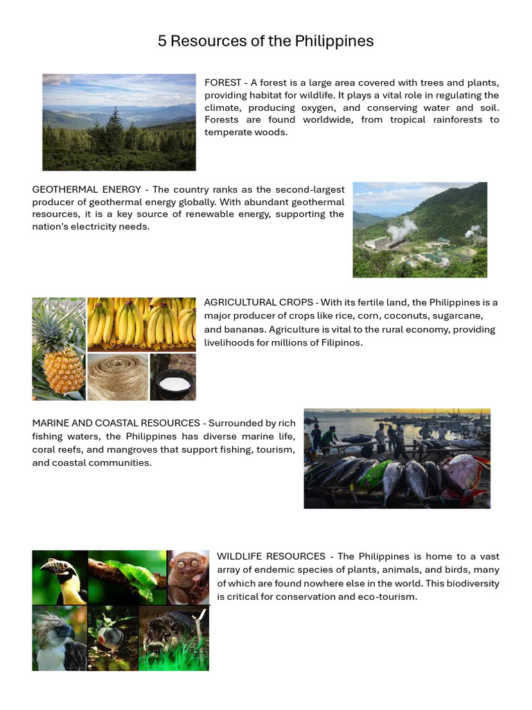Major Natural Resources of the Philippines | PDF