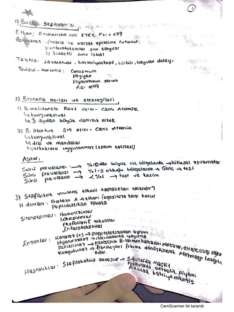 Mikro 2 Yaz Okulu | PDF