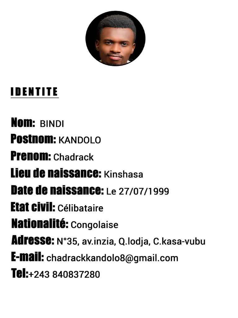 Curriculum Vitae À Jour | PDF