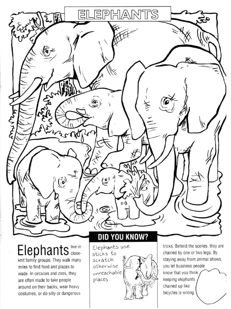 CP 2 - Colouring Pages | PDF