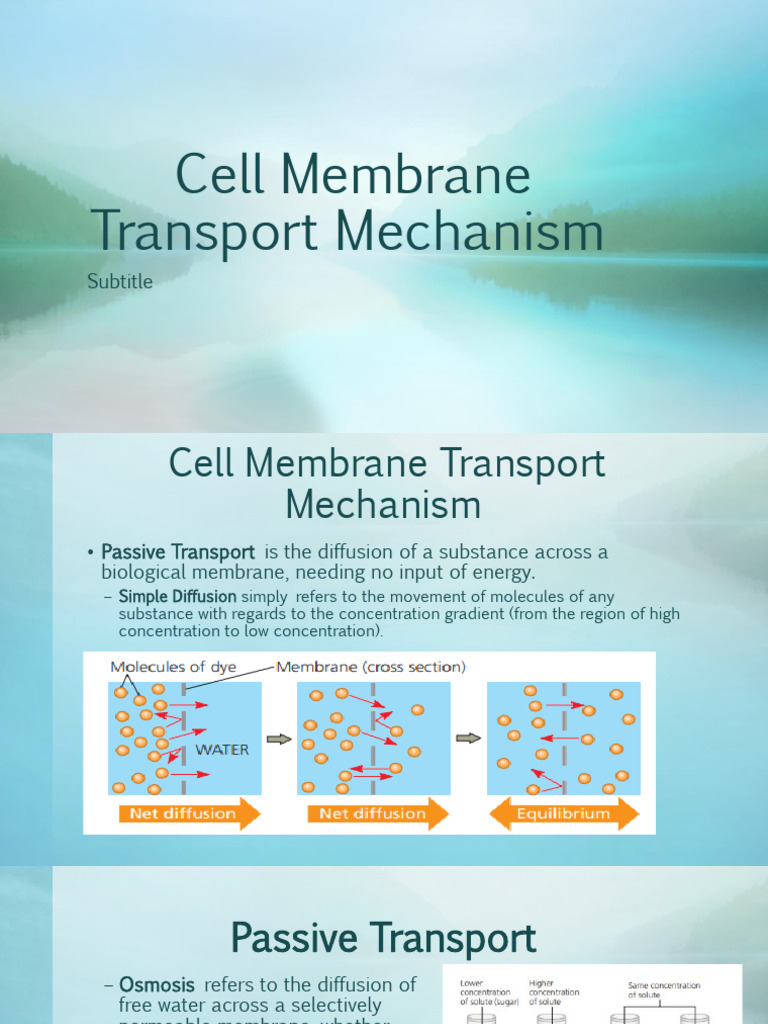 Grade 12 9 CELL TRANSPORT | PDF | Cell Membrane | Membrane Biology