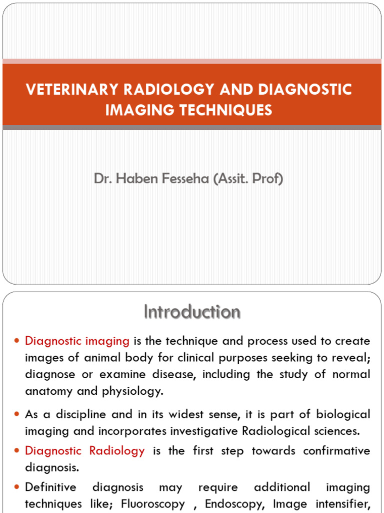Vet Radiology PPT 2023 MSC | PDF | Radiography | Radiology