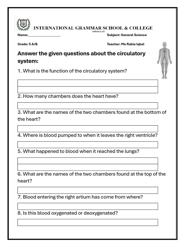 Circulatory Quiz | PDF