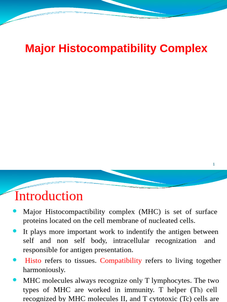 MHC (2) | PDF | Major Histocompatibility Complex | Antigen
