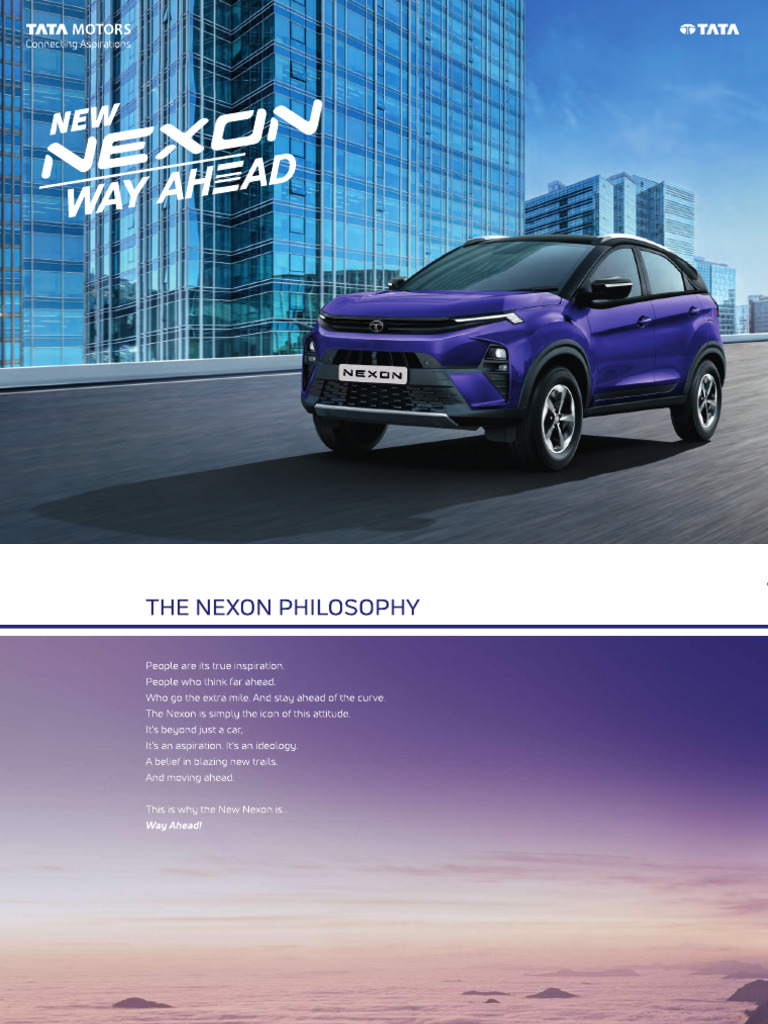 Nexon Amt 2024 | PDF