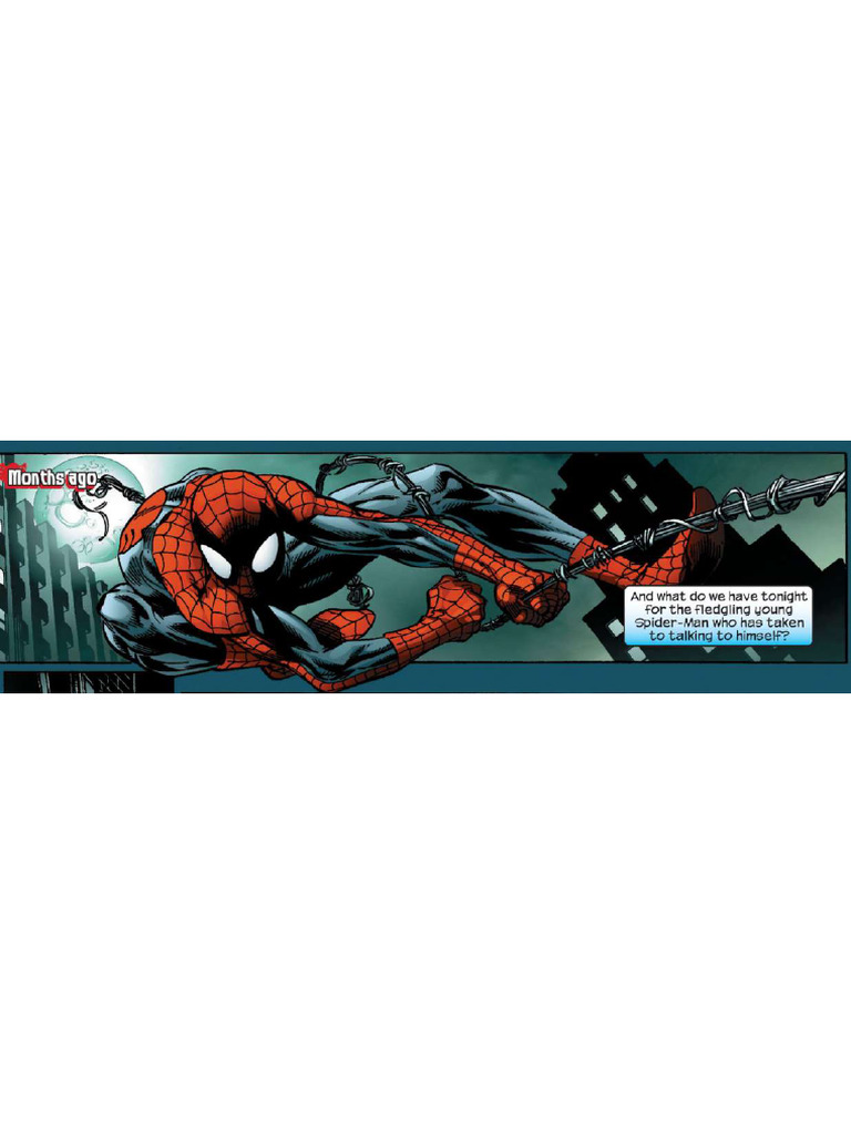 Spider | PDF