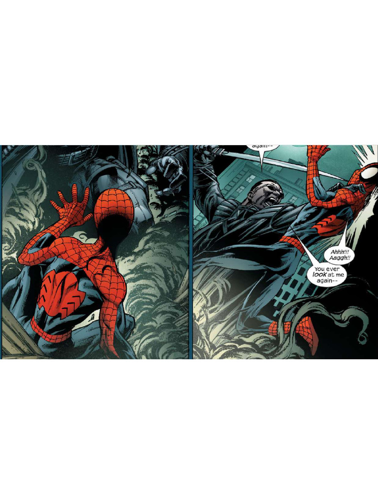 Spider | PDF