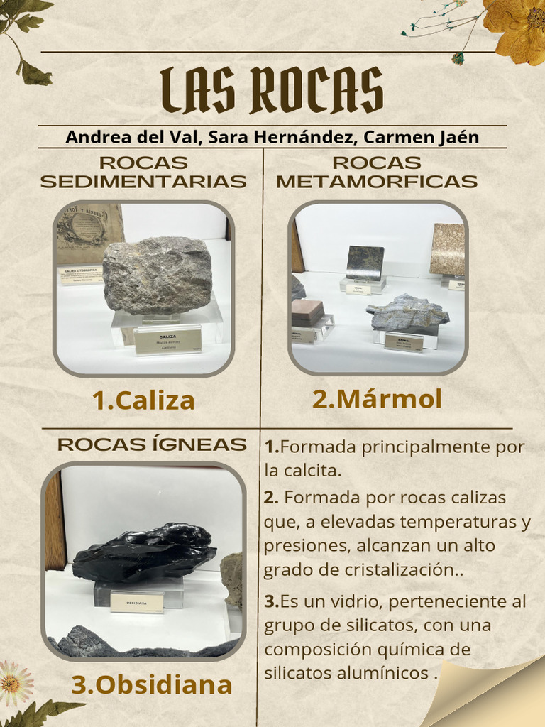 Poster Bio | PDF