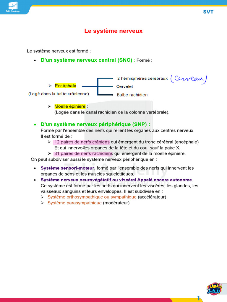 Le Tissu Nerveux | PDF