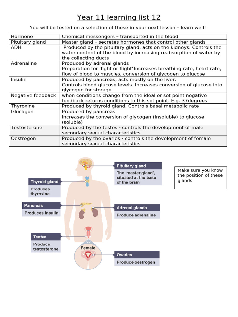 Learning_list_12_-_Hormonal_system | PDF