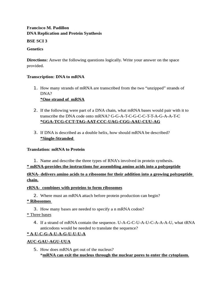 DNA Replication and Protein Synthesis Final | PDF | Messenger Rna ...