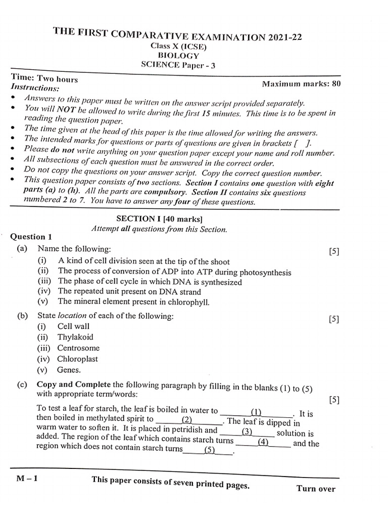 First Comparative 21-22 | PDF