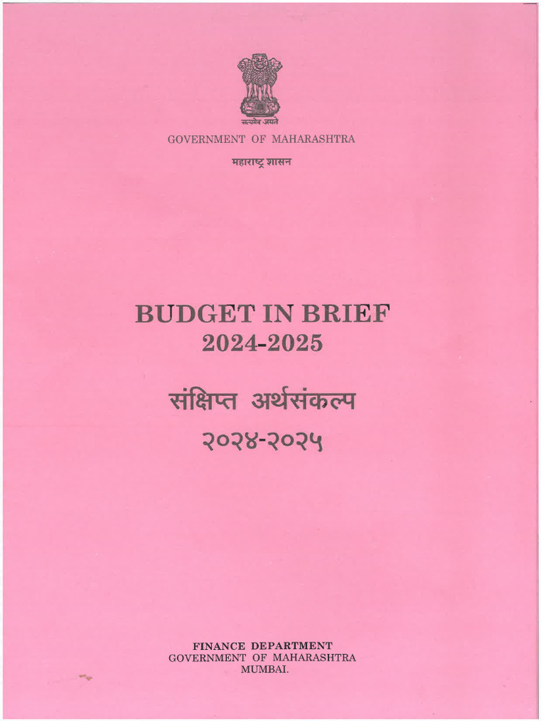 Budget in Brief (Pink Book) | PDF
