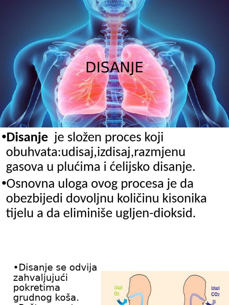 Disanje | PDF