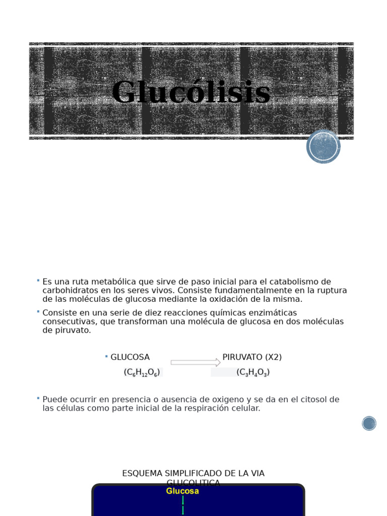 Proceso de Glucólisis: Fases y Energía | PDF | Glucólisis | Trifosfato ...