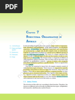 tissues old ncert class 11 | PDF | Epithelium | Muscle