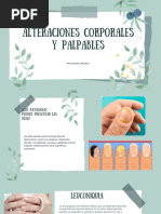 Guía sobre Cromoniquia y Alteraciones Ungueales | PDF | Clavo (anatomía ...
