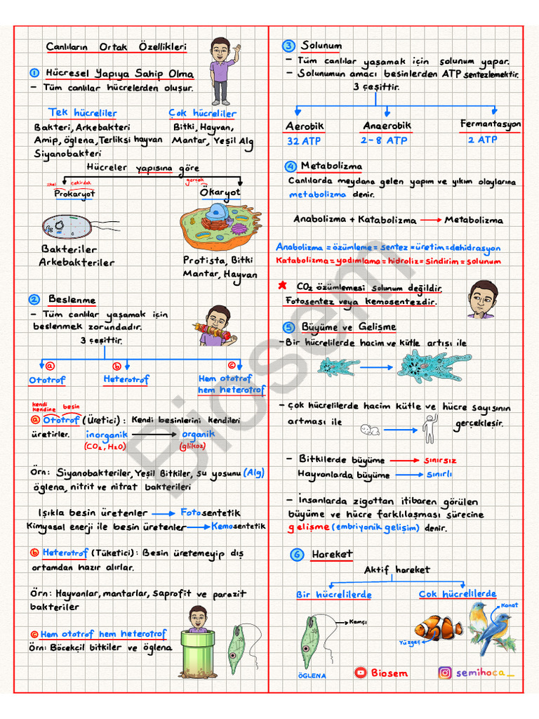 Biosem Tyt Biyoloji Pdf_202502151643_02302 | PDF