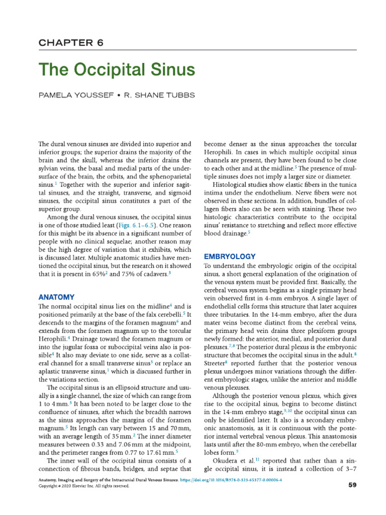 The Occipital Sinus | PDF