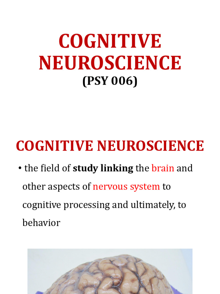 Chapter 2 - Cognitive Neuroscience | PDF | Brain | Limbic System