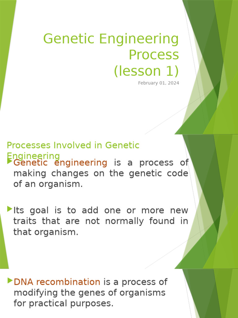 M1 Genetic Engineering Process Students Copy 2 | PDF | Vector ...