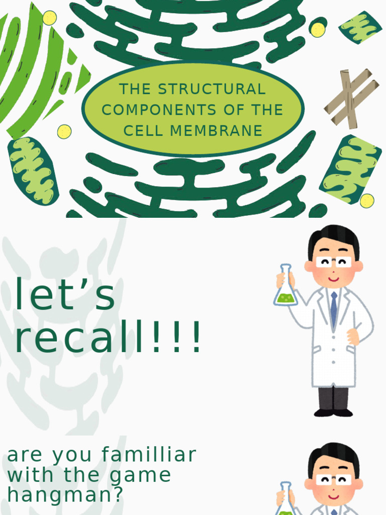 Cell Membrane Structure and Functions | PDF | Cell Membrane | Lipid Bilayer