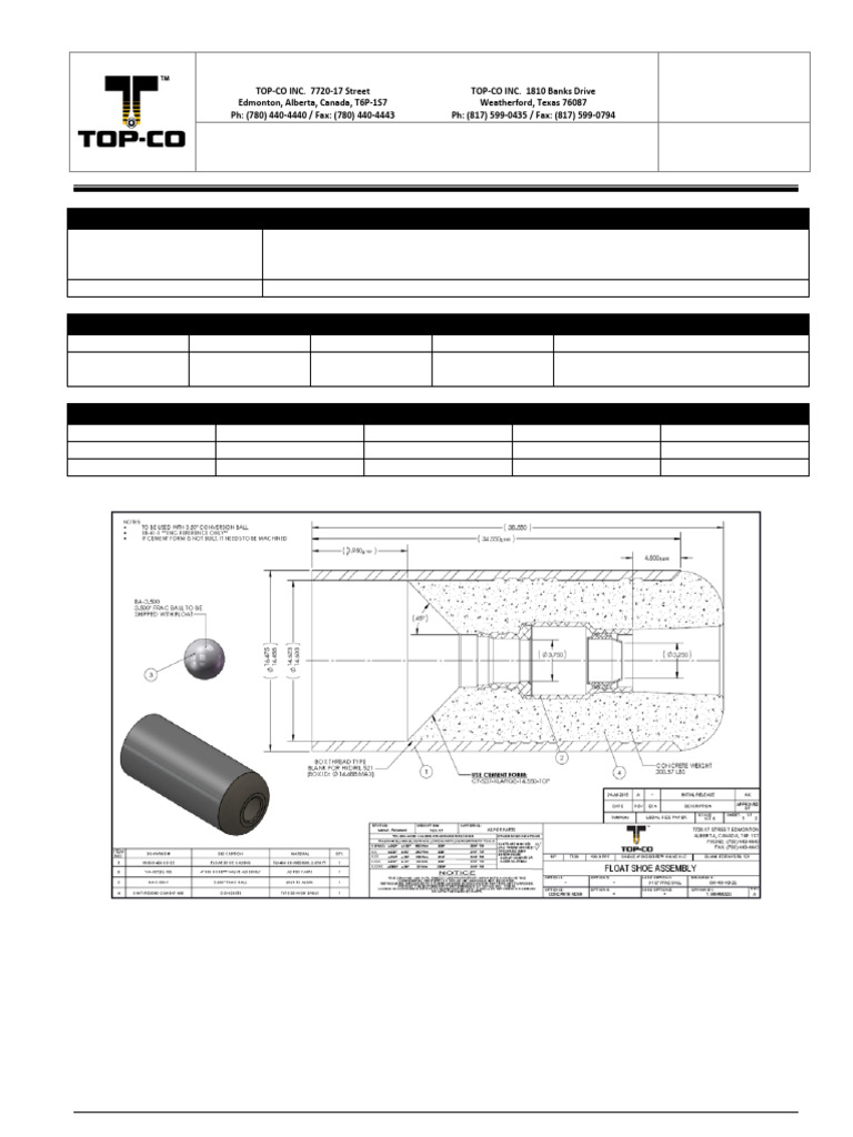 13 38'' - Type 538 Big Bore Shoe - 538-406-GD-ZE | PDF