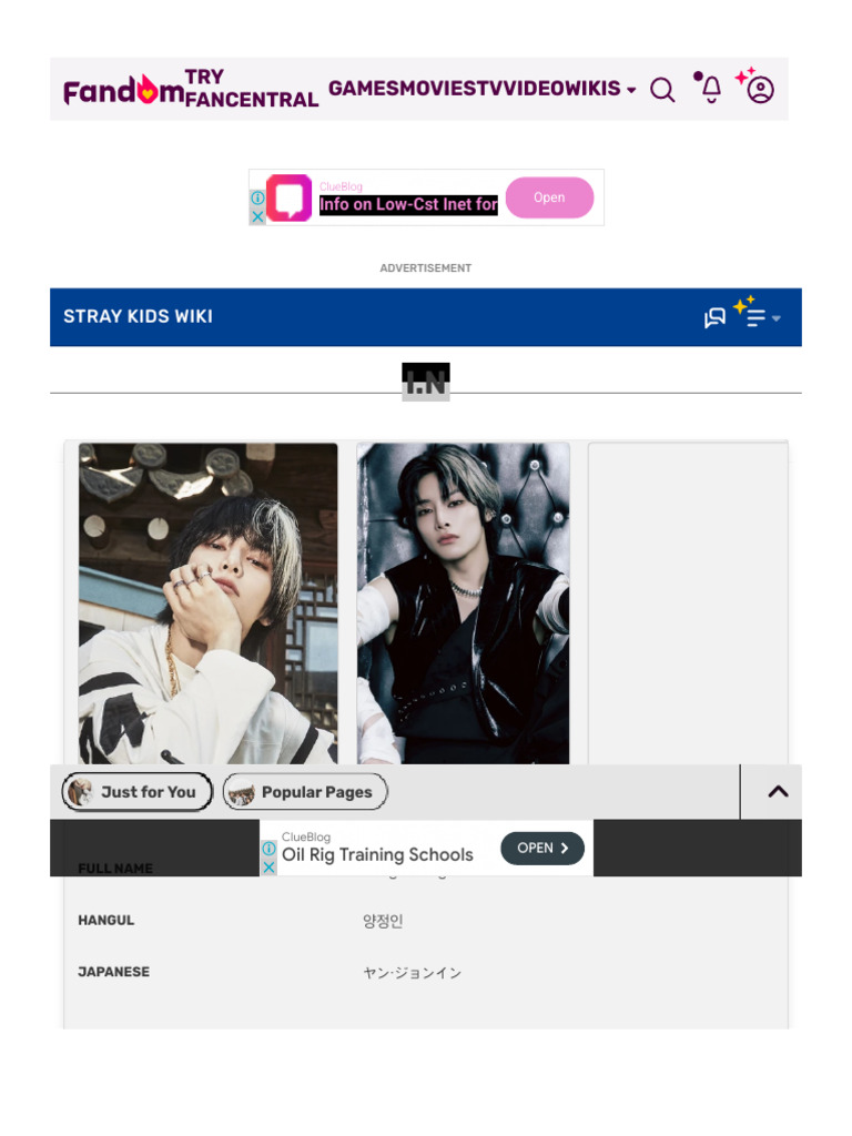 I.N - Stray Kids Wiki - Fandom | PDF