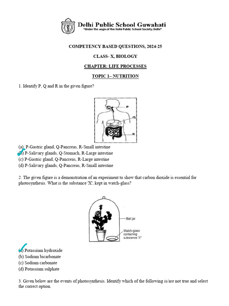 CHAPTER LIFE PROCESSES CBQ | PDF | Nutrition | Diet & Nutrition