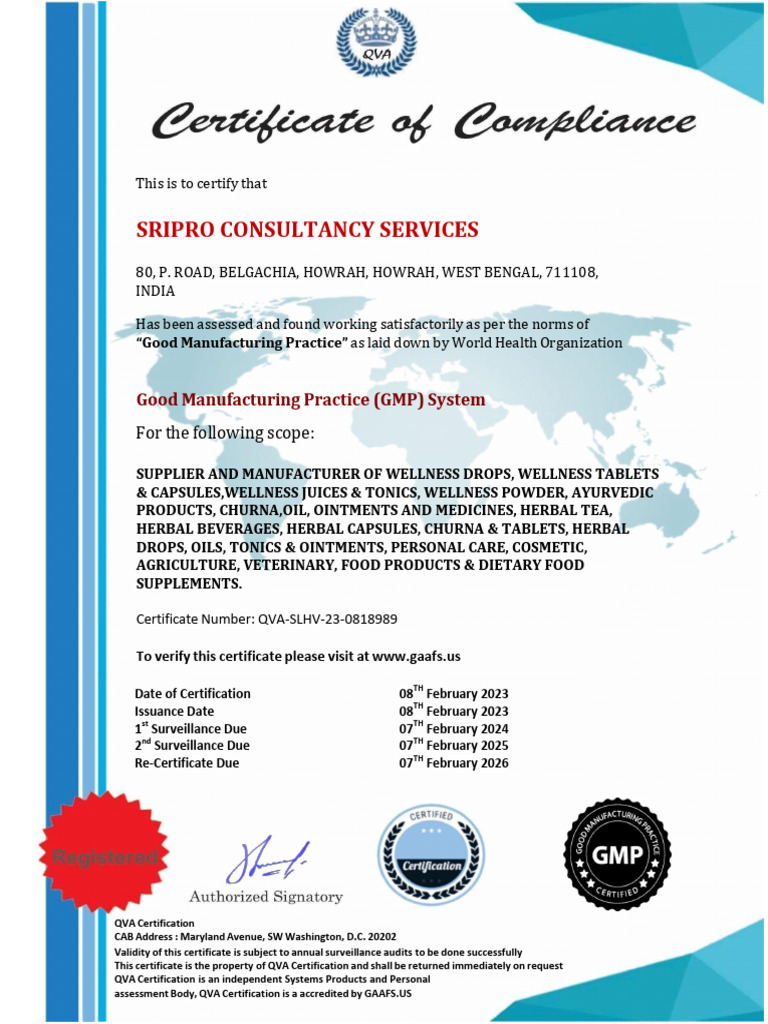 Final Sripro Consultancy Services GMP Qva | PDF