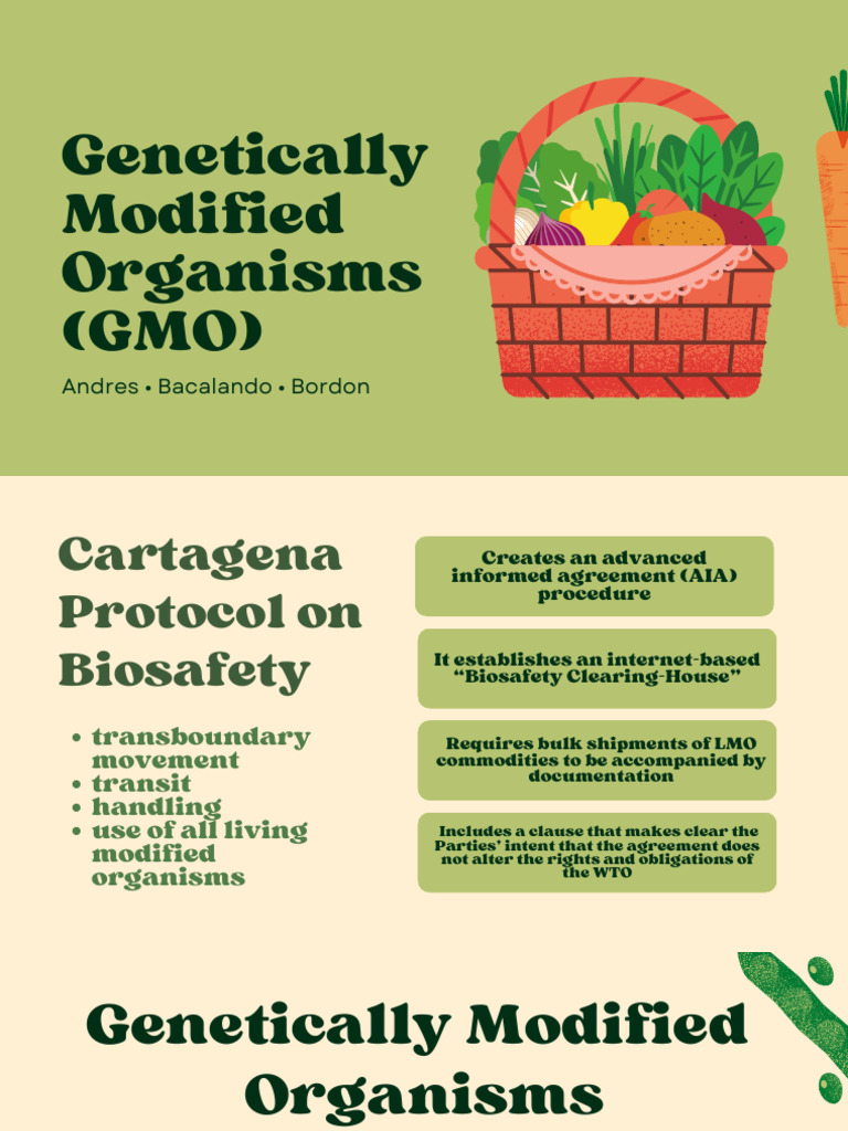 Cartagena Protocol on GMOs Overview | PDF | Genetically Modified ...